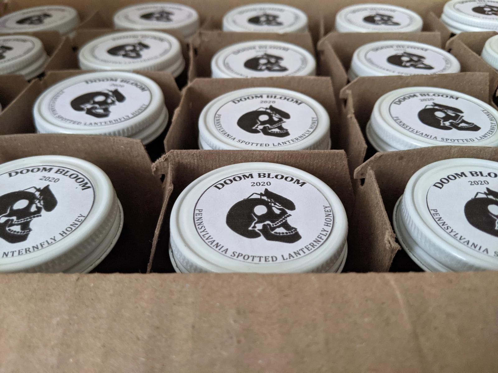 Spotted Lanternfly Honey: How It’s Made - City Cast Philly