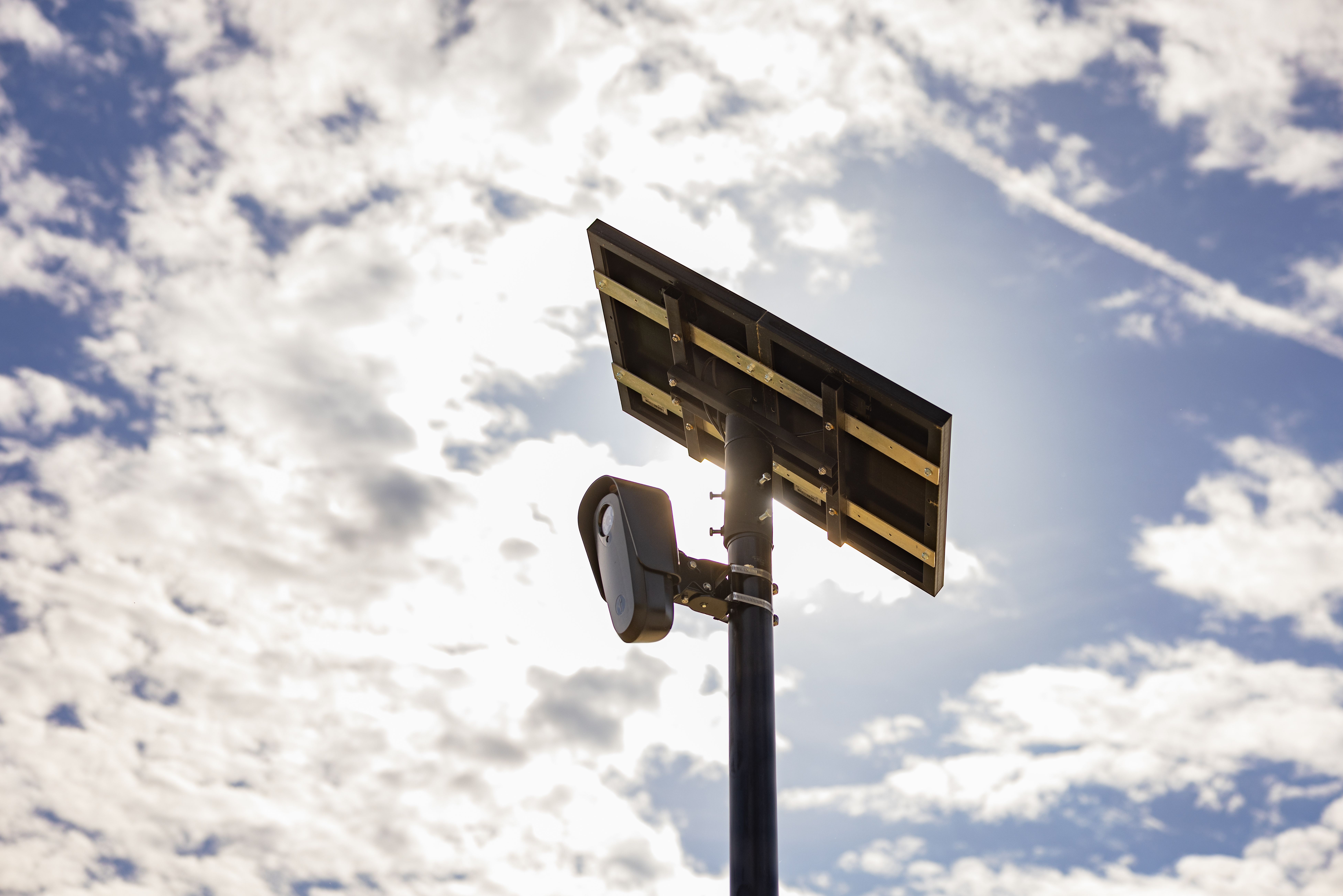 What Does a Nevada REAL ID Look Like? - City Cast Las Vegas