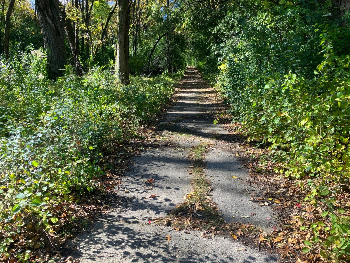Exploring the ‘Lost City’ in the UW Arboretum in Madison - City Cast ...