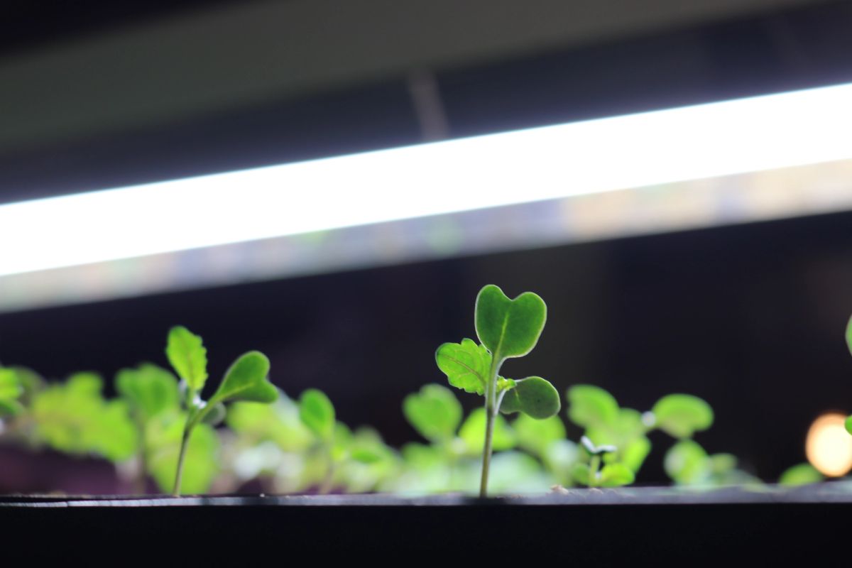 What To Do in Pittsburgh in April 2024 - City Cast Pittsburgh