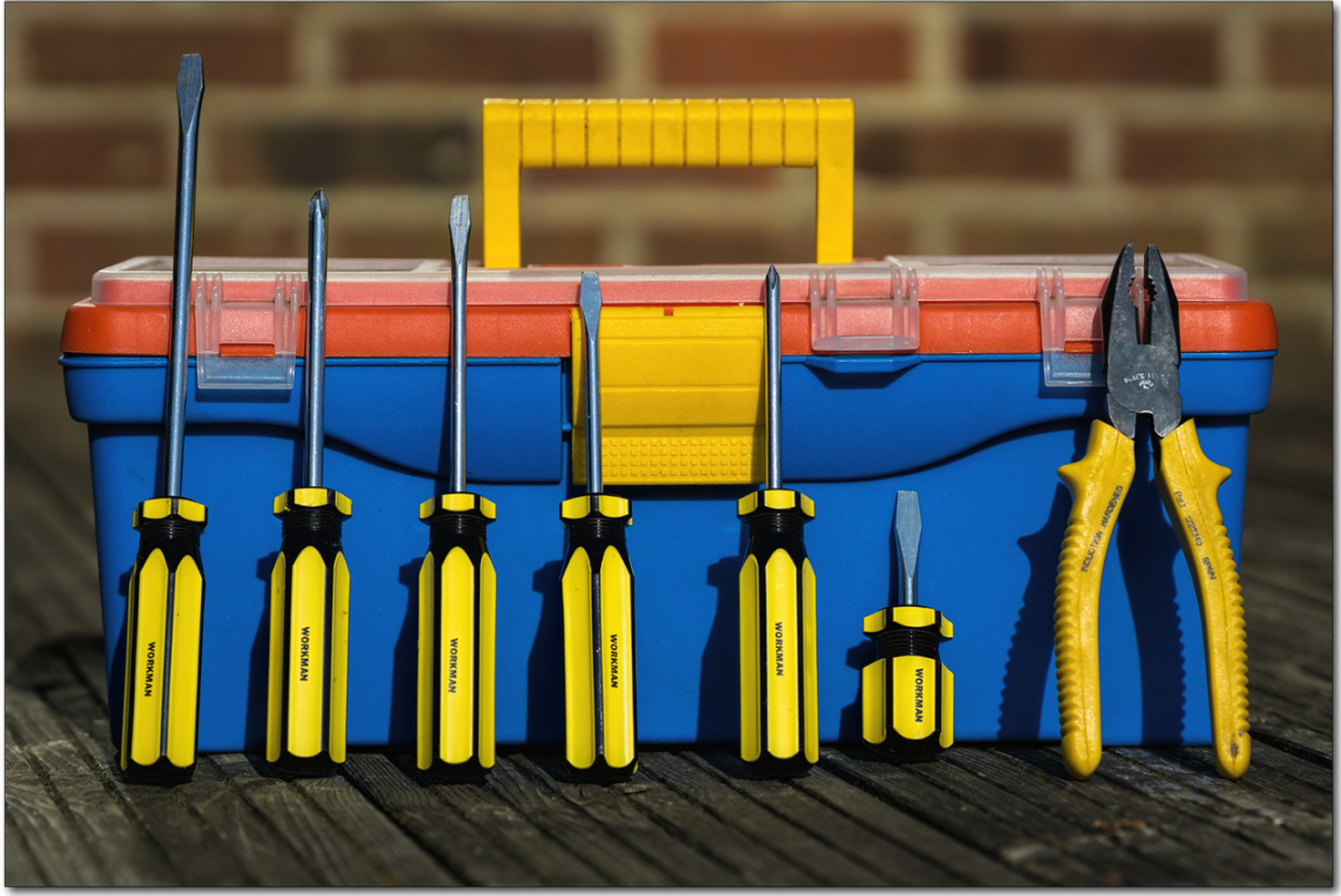 Free Things to Get With Your Chicago Library Card - City Cast Chicago