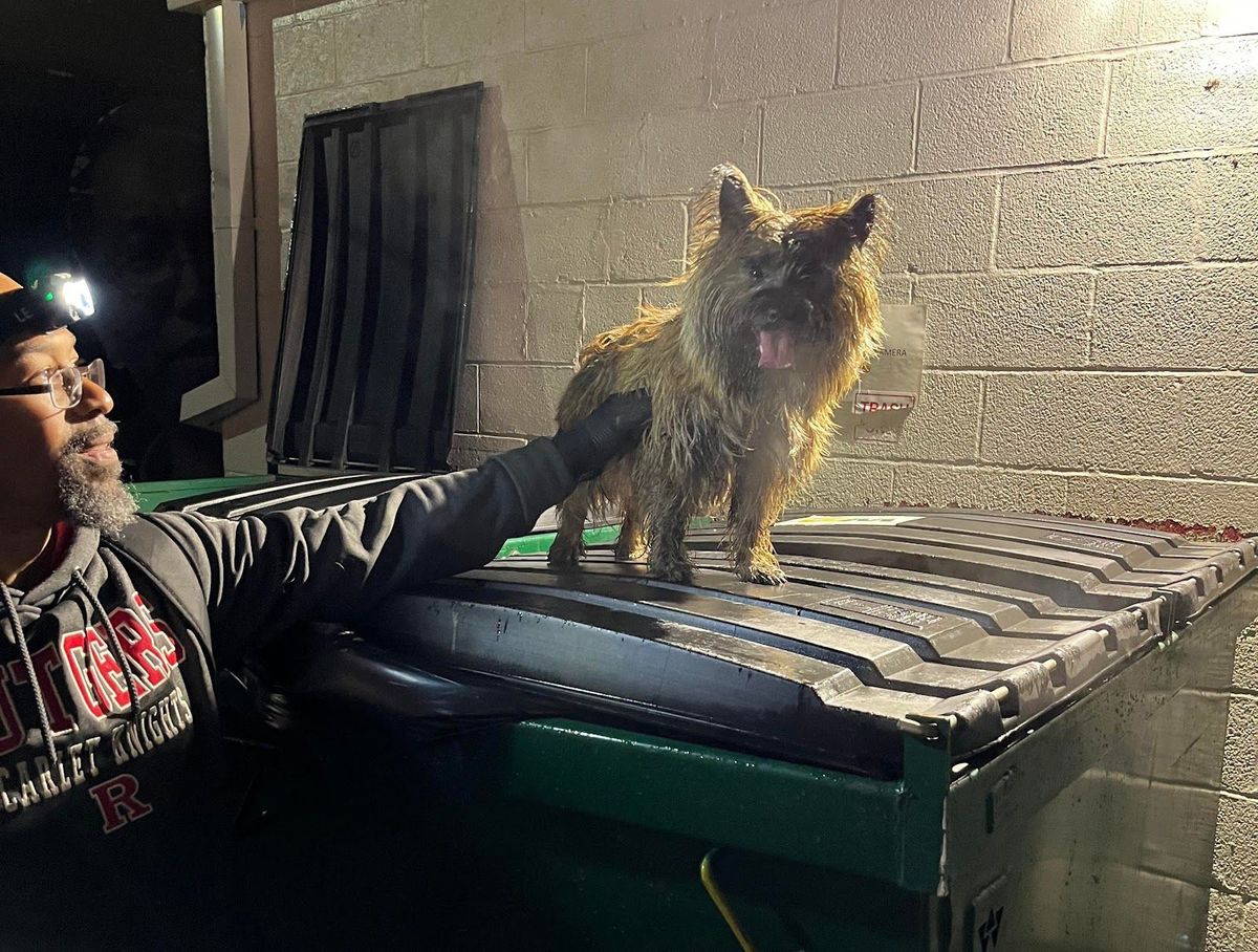 Meet Washington, DC's Rat-Hunting Dog Society - City Cast DC