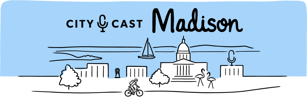Everything You Need To Know About Madison's Spring Primary Election ...