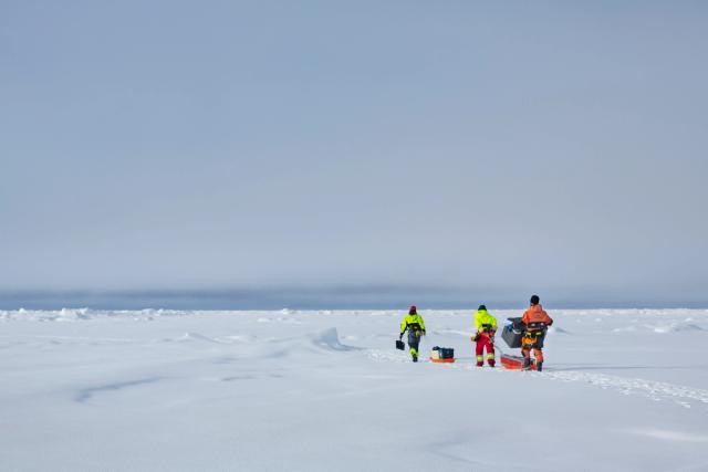 Nansen og bergenserne