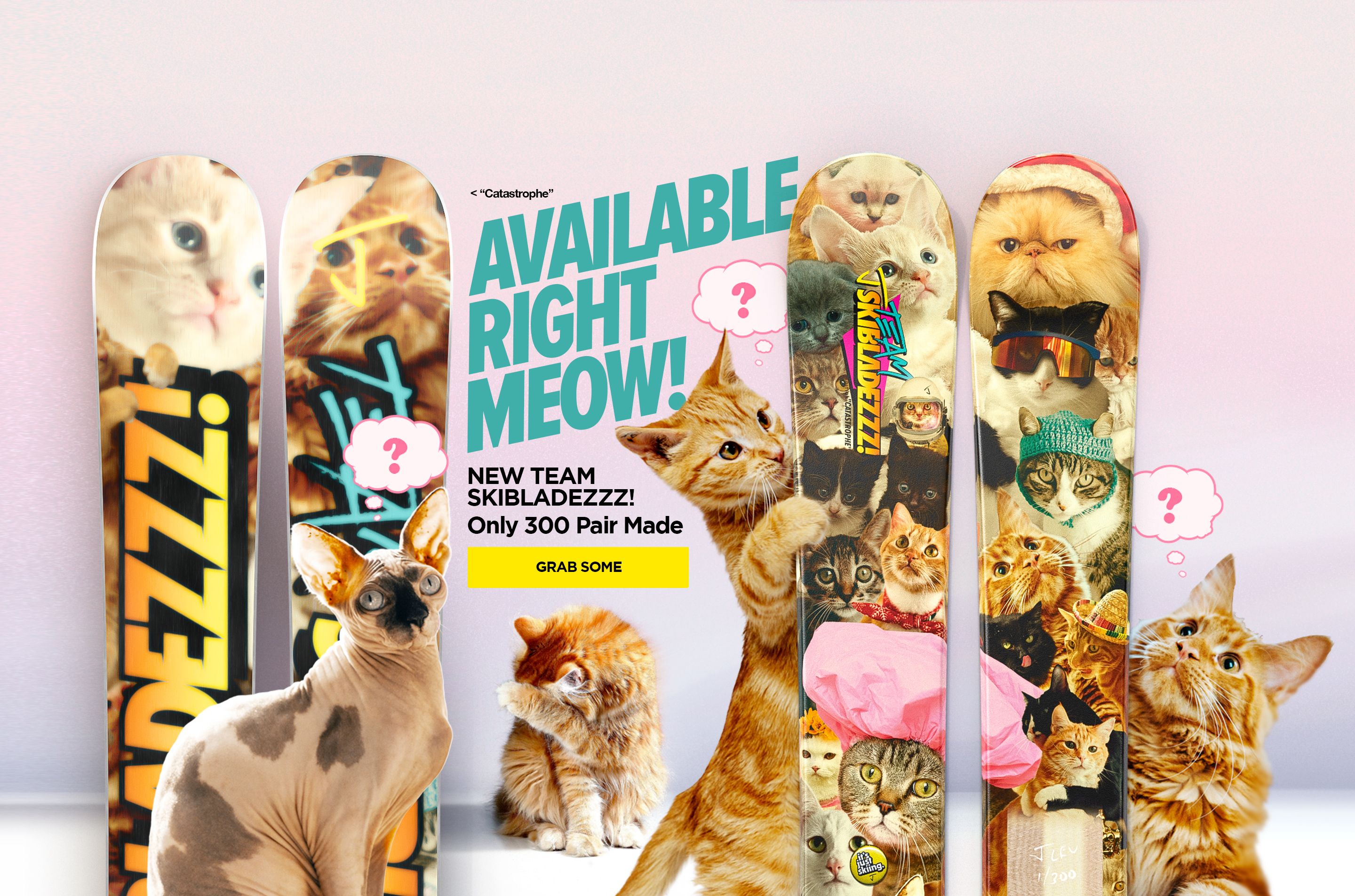 Hand Crafted Skis · J skis • Limited Edition skis designed by Jason ...