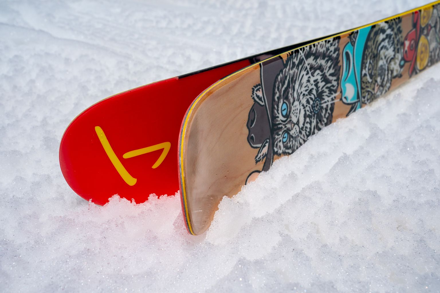 The Vacation "ROUNDUP" Sam Larson x J Collab Limited Edition Ski · J ...