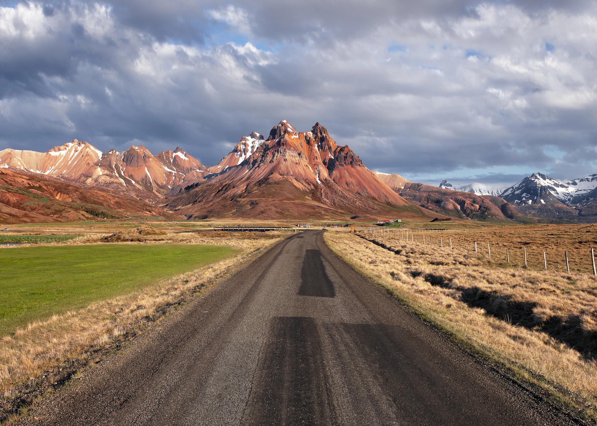 The Puffin in Iceland: Facts, When & Where to See Them, Tips, etc