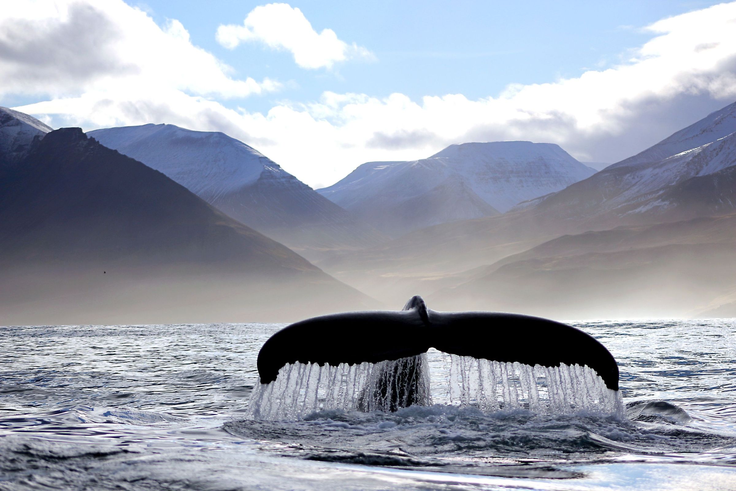 Iceland's Treasure Chest: Top 20 Natural Wonders to Discover