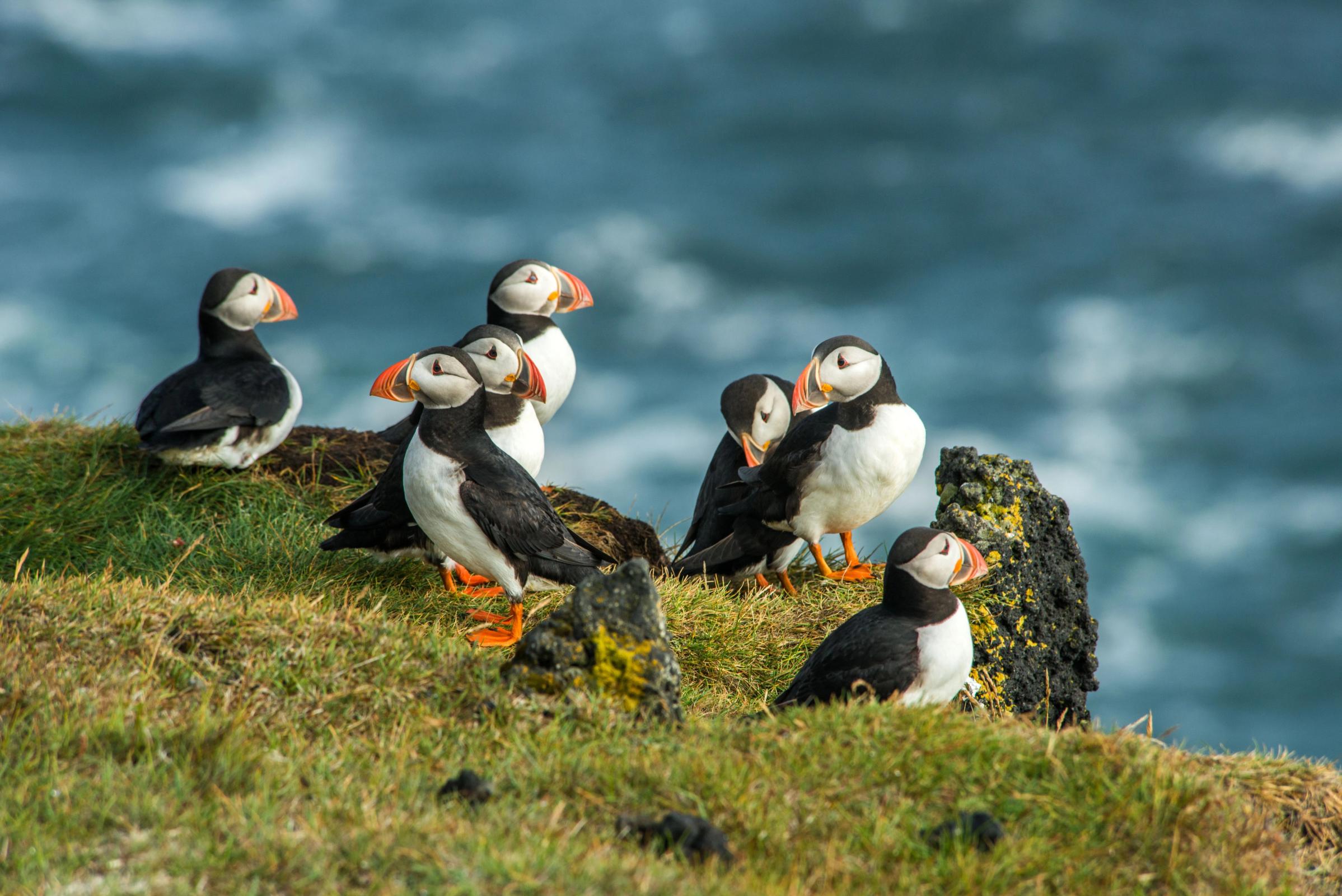 Weather in Iceland in June: What to Expect in 2026