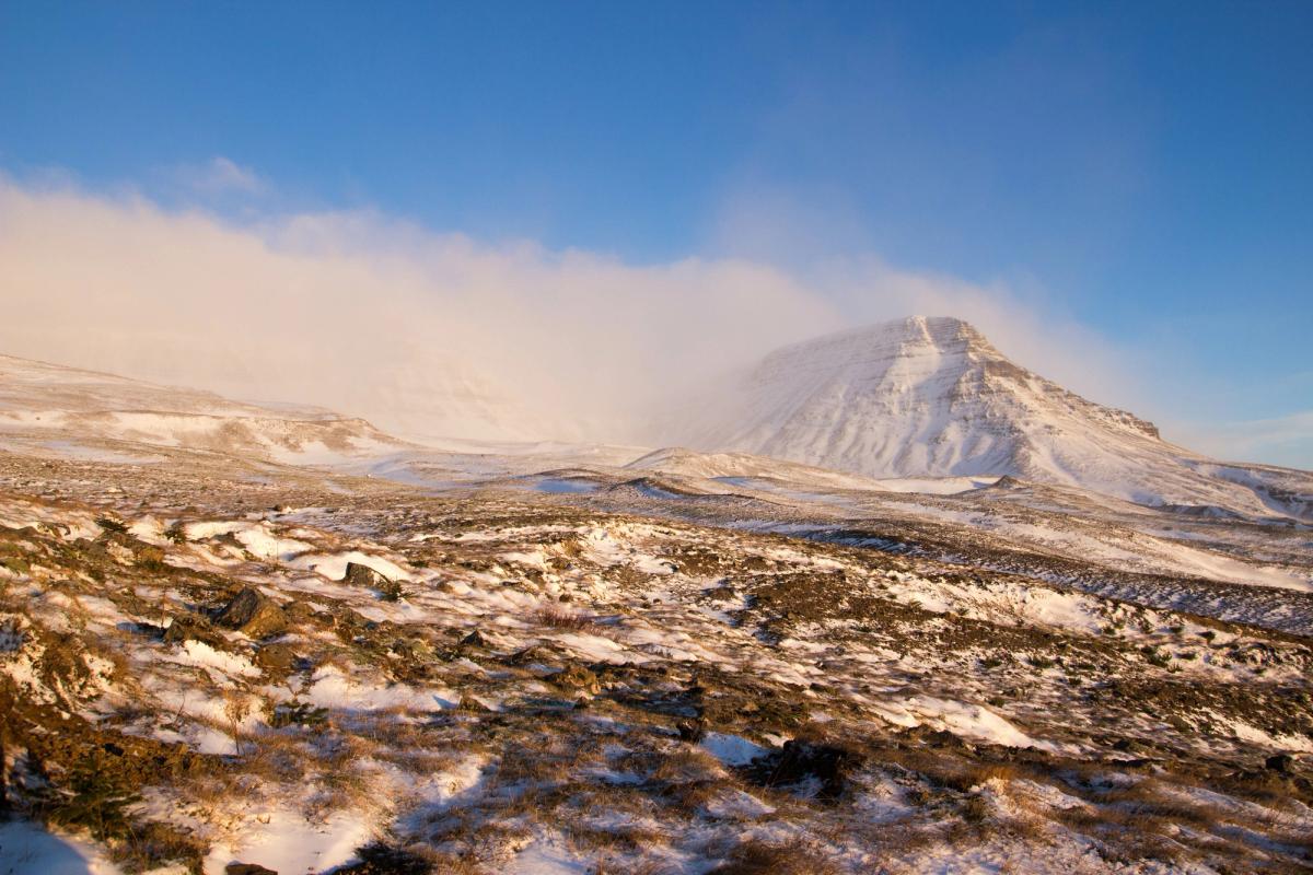 Complete Guide to Hiking Mt. Esja in Reykjavik