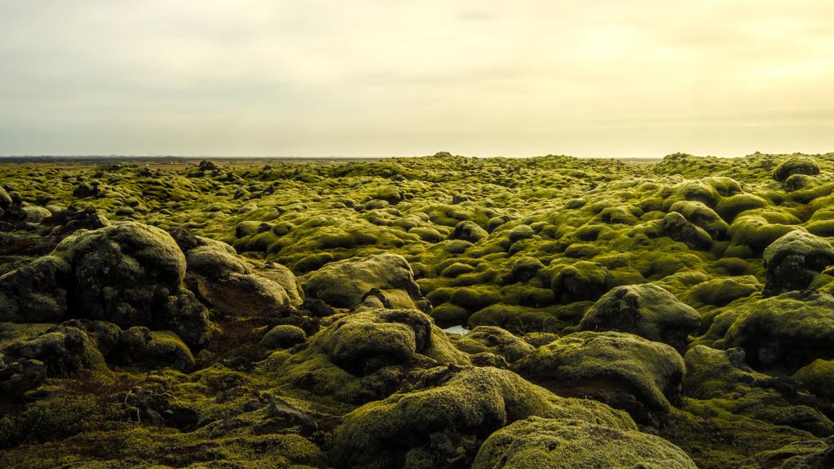 A Complete Guide to Iceland's Landscapes for Your 2026 Trip