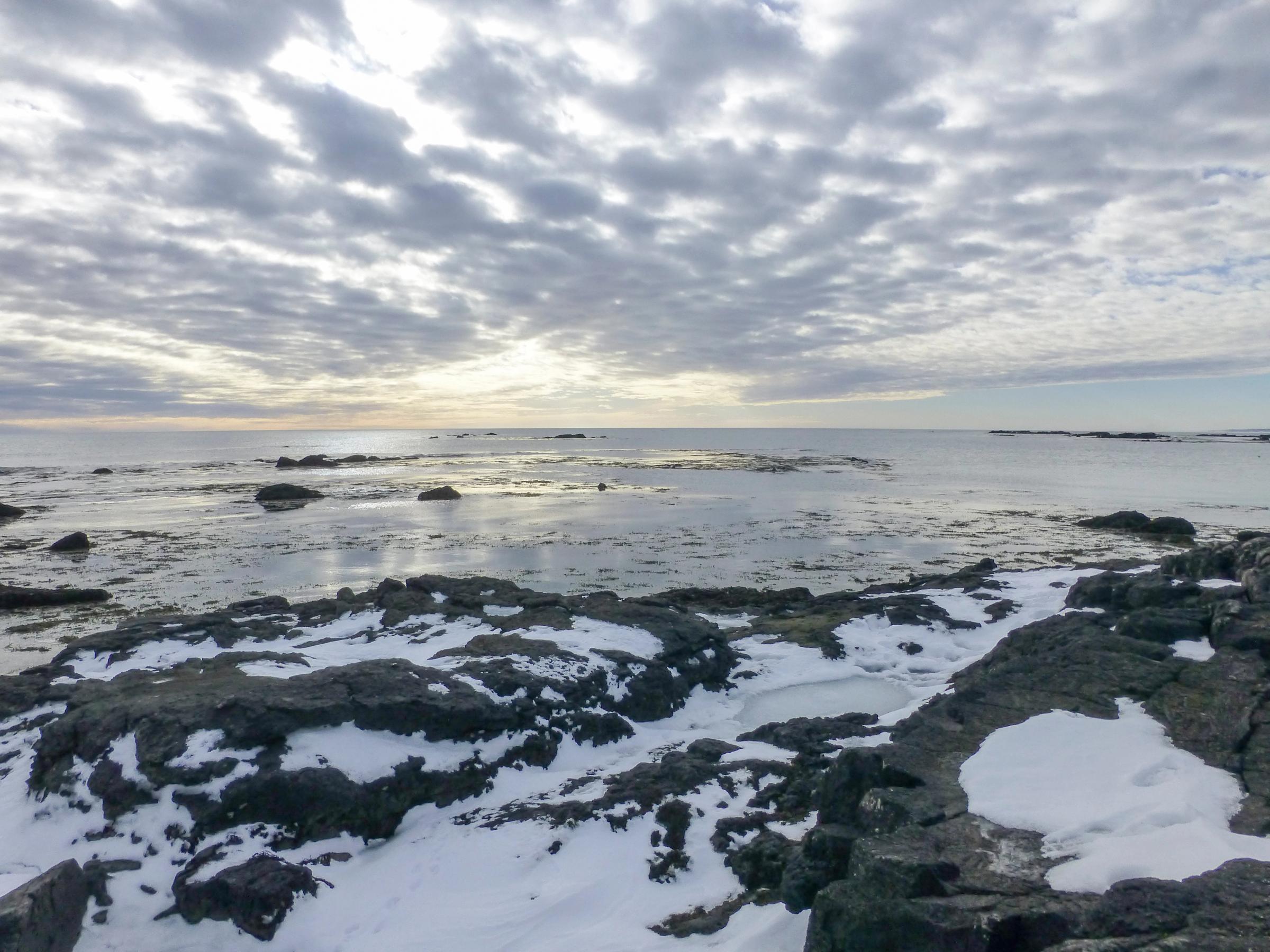 Discovering Ytri Tunga Beach: Golden sand and seals
