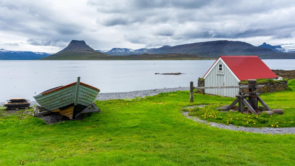 Exploring Eldey Island: A Gem for Birdwatchers in Iceland