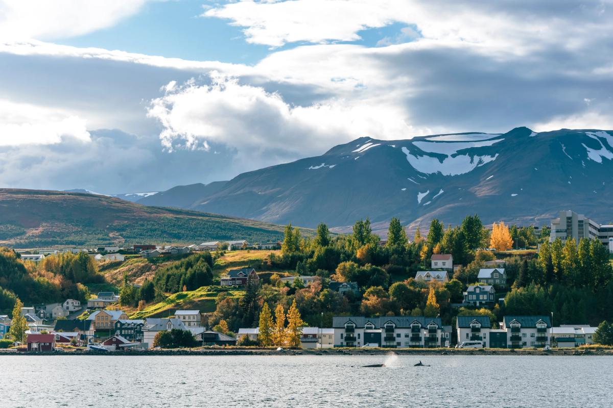 The Ultimate Guide to Akureyri: Iceland's Northern Capital