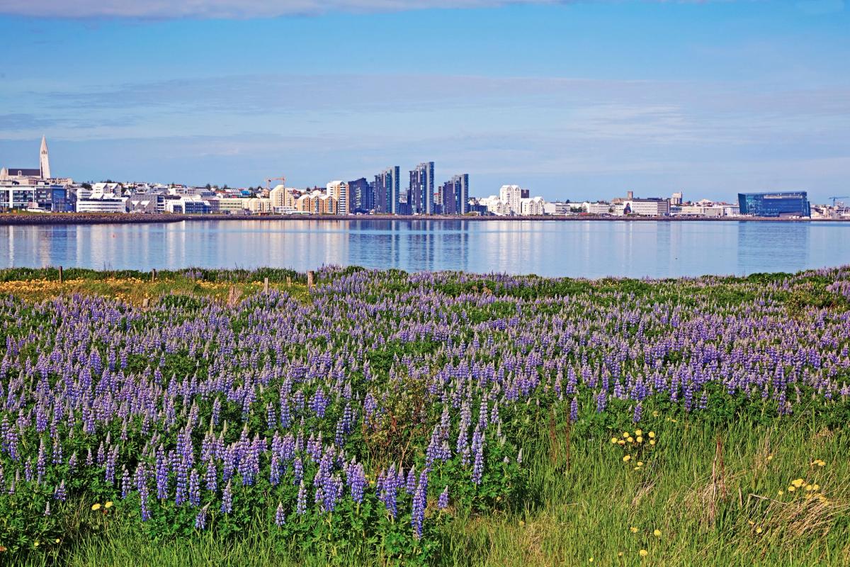Reykjavik Weather Guide: What to Expect in Iceland's Capital