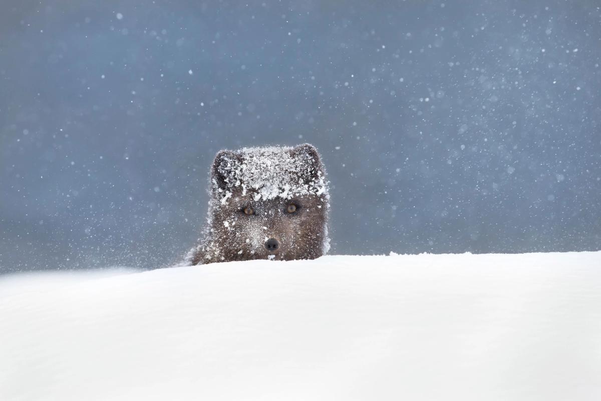 What to expect: Weather in Iceland in December