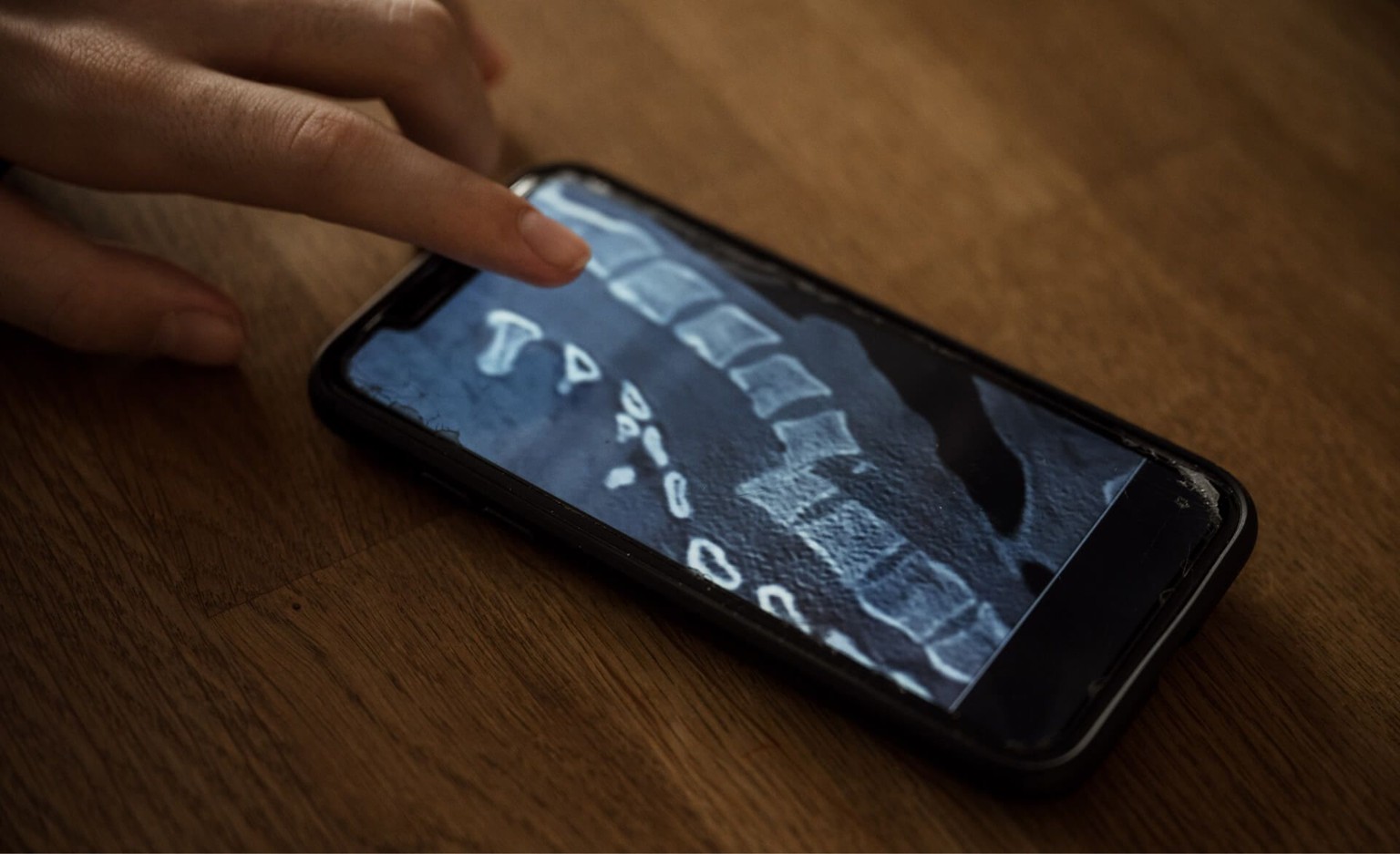 Application - Wings for Life