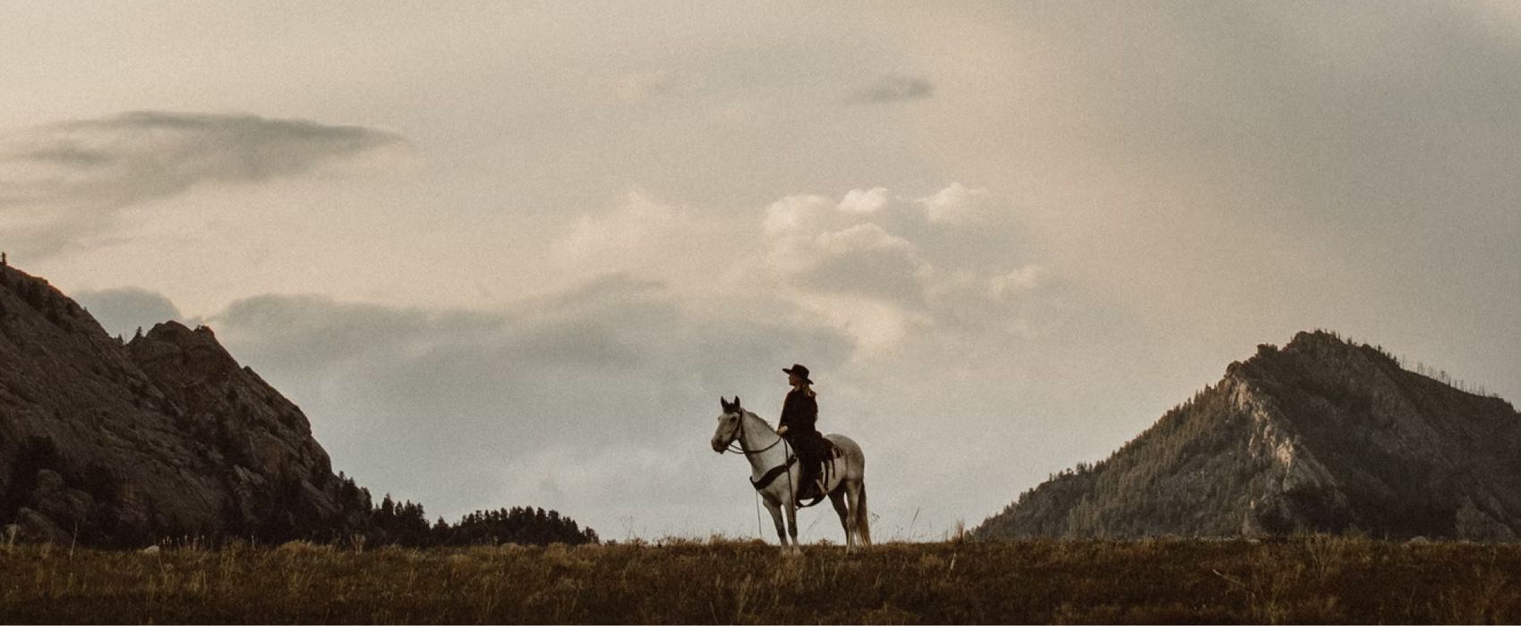 Home | Elva Design Group - Elva Design Group