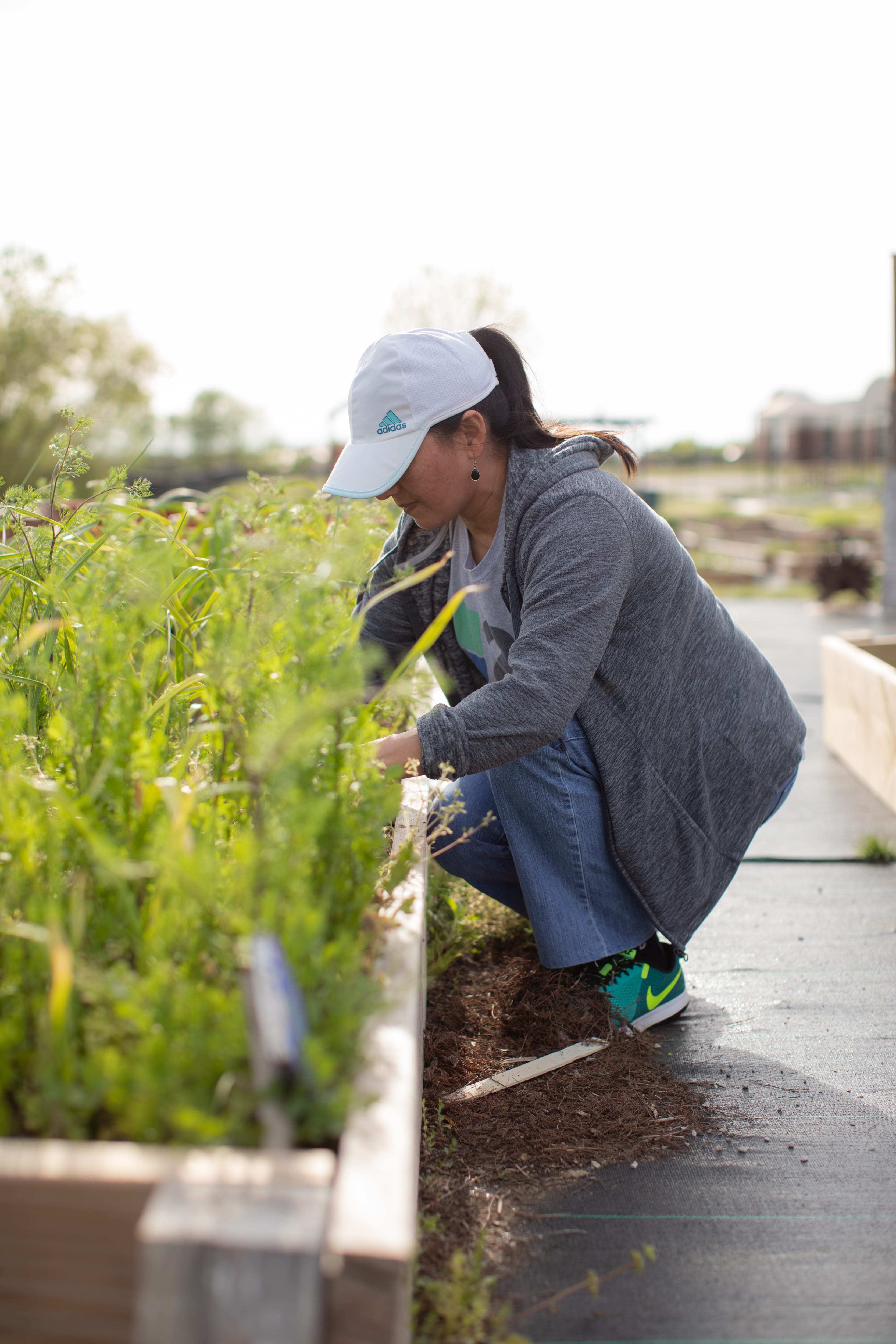 Get Involved | Global Gardens