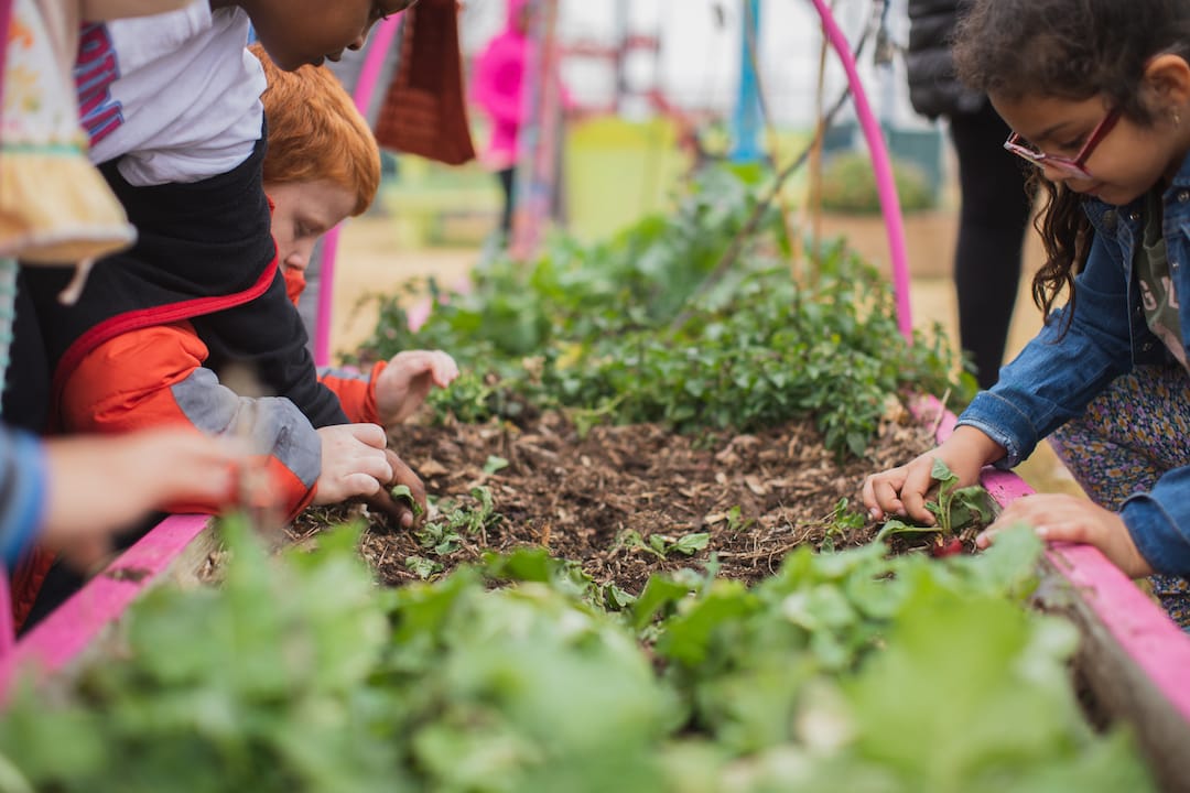 About | Global Gardens