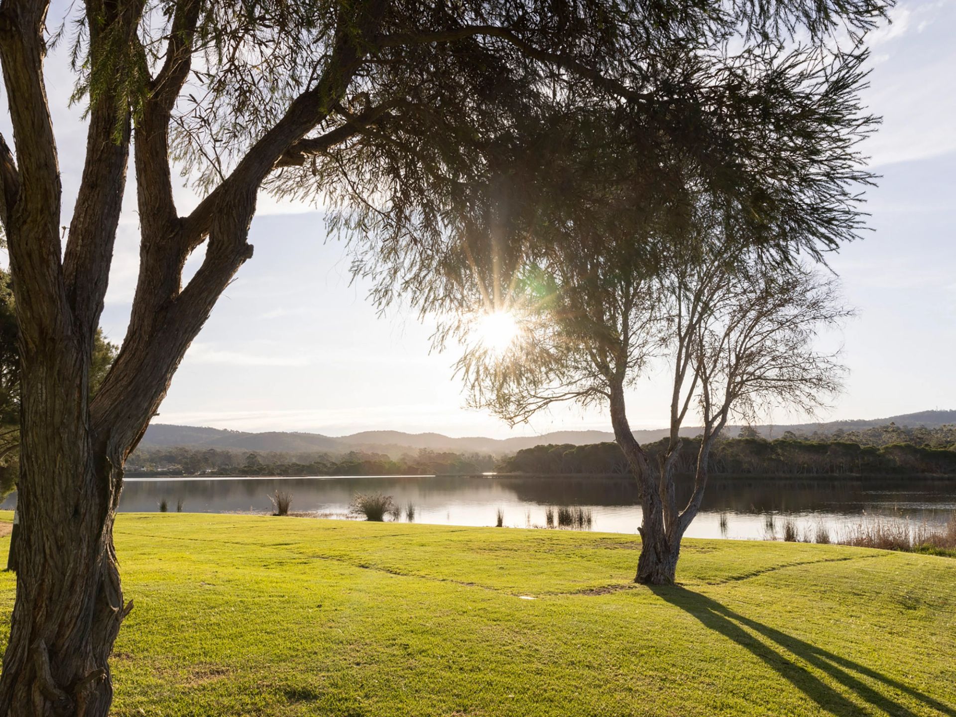 Park map | Eden Holiday & Caravan Park | Reflections Holidays