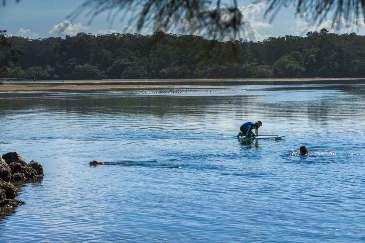 Boambee Creek Reserve Map | Reflections Holidays