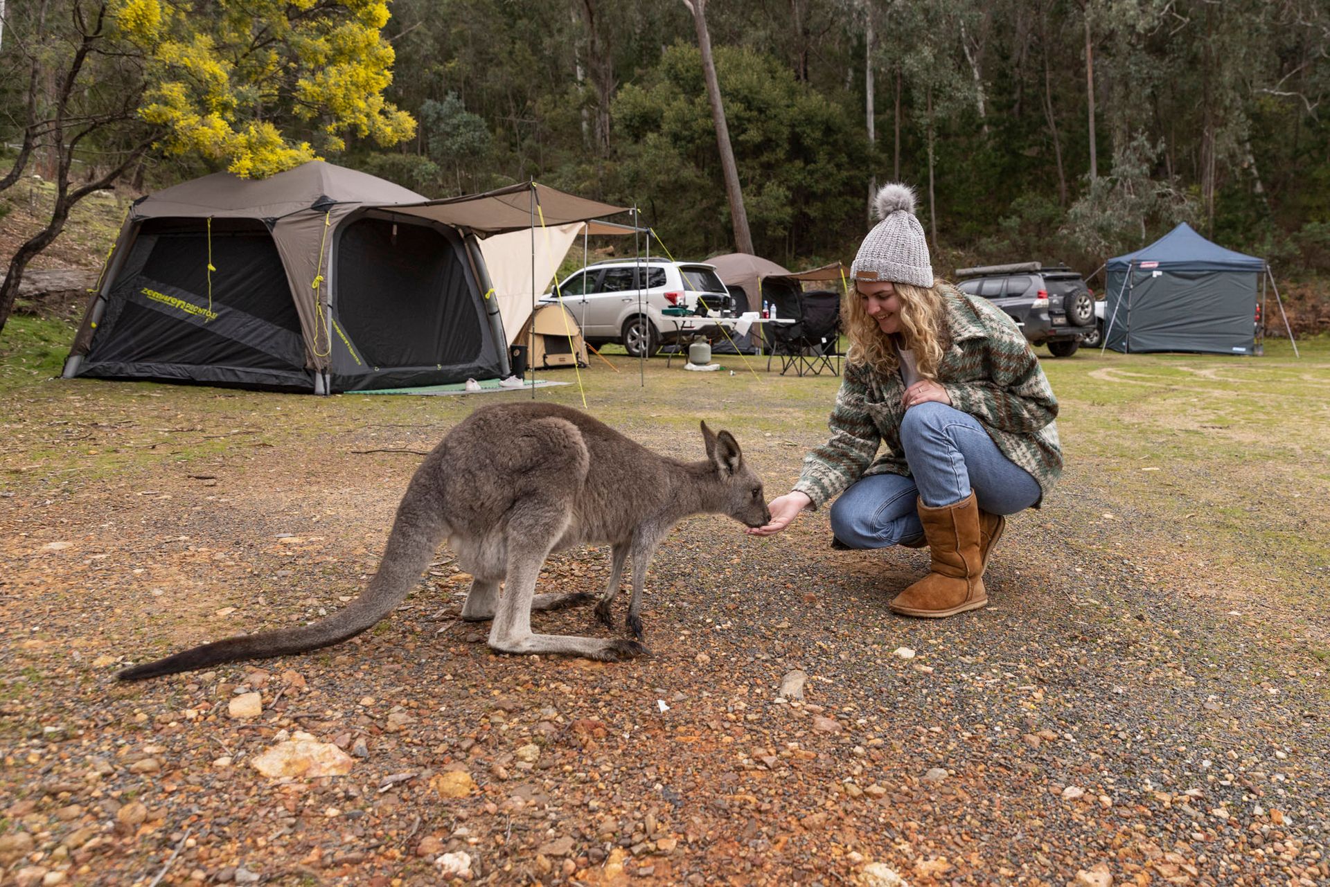 Park map | Burrinjuck Waters Holiday & Caravan Park | Reflections Holidays
