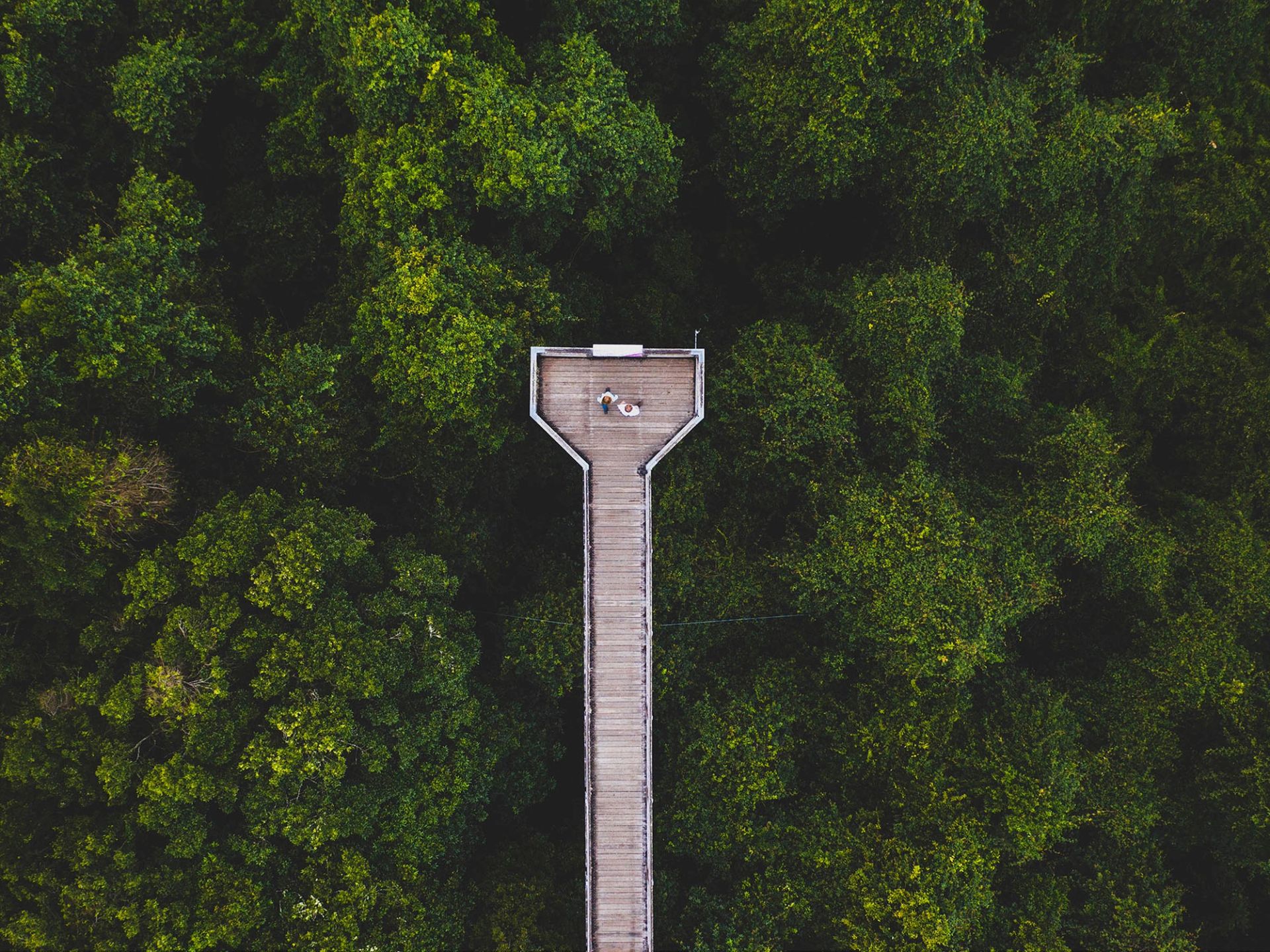 Park map | Coffs Harbour Holiday & Caravan Park | Reflections Holidays