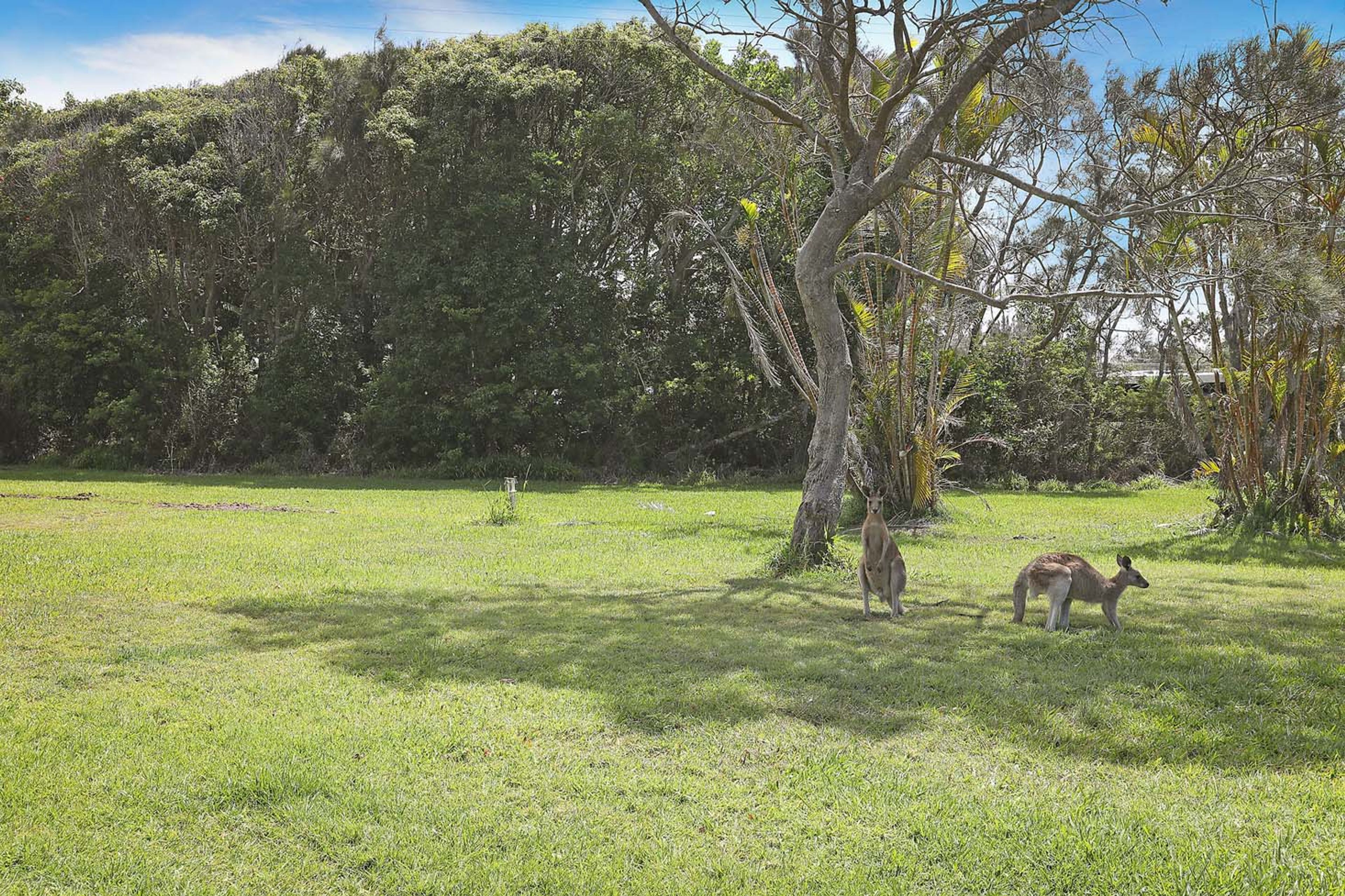 Corindi Beach Standard Unpowered Campsite - 6 Guests | Reflections Holidays