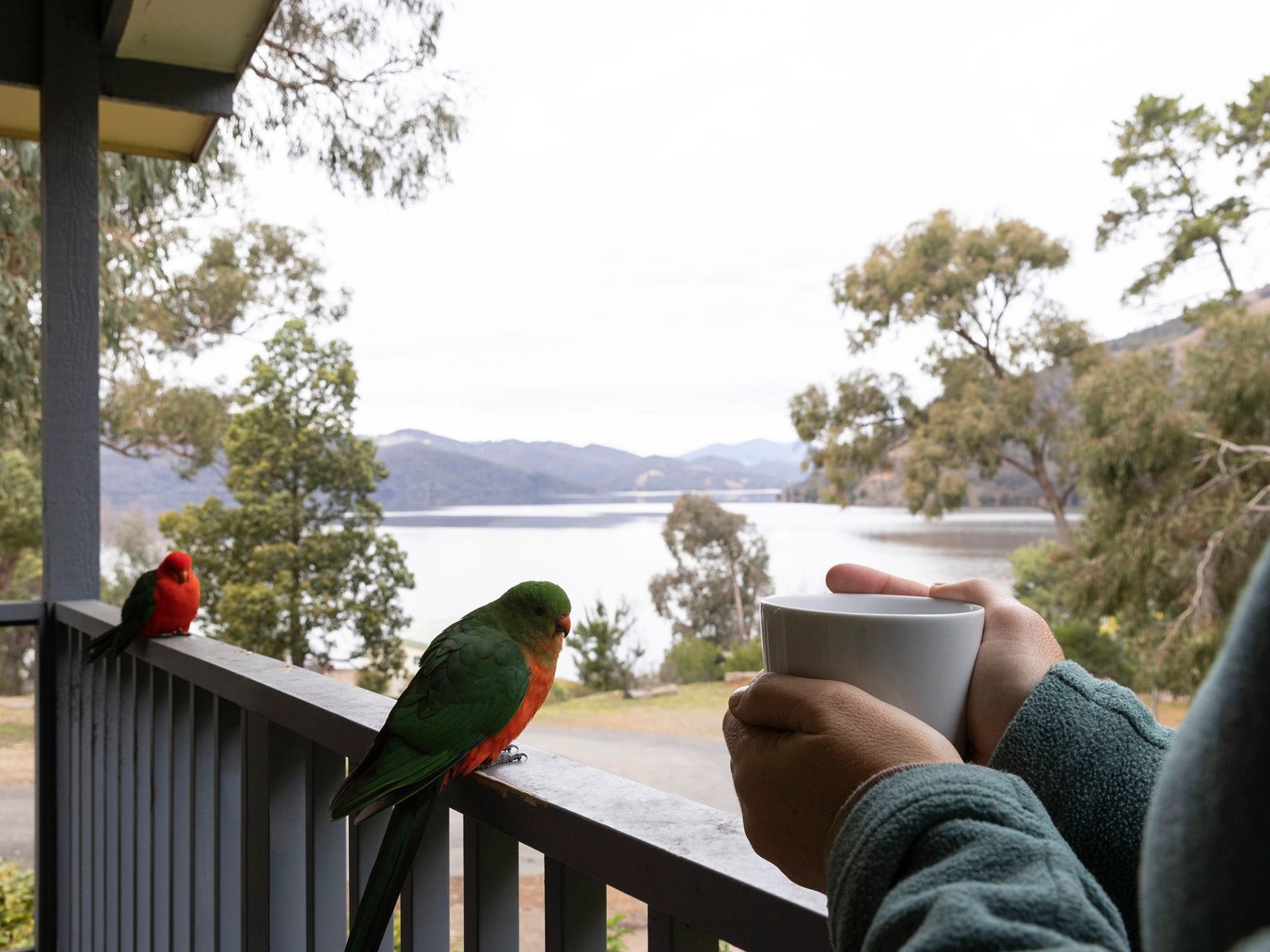 Park map | Burrinjuck Waters Holiday & Caravan Park | Reflections Holidays