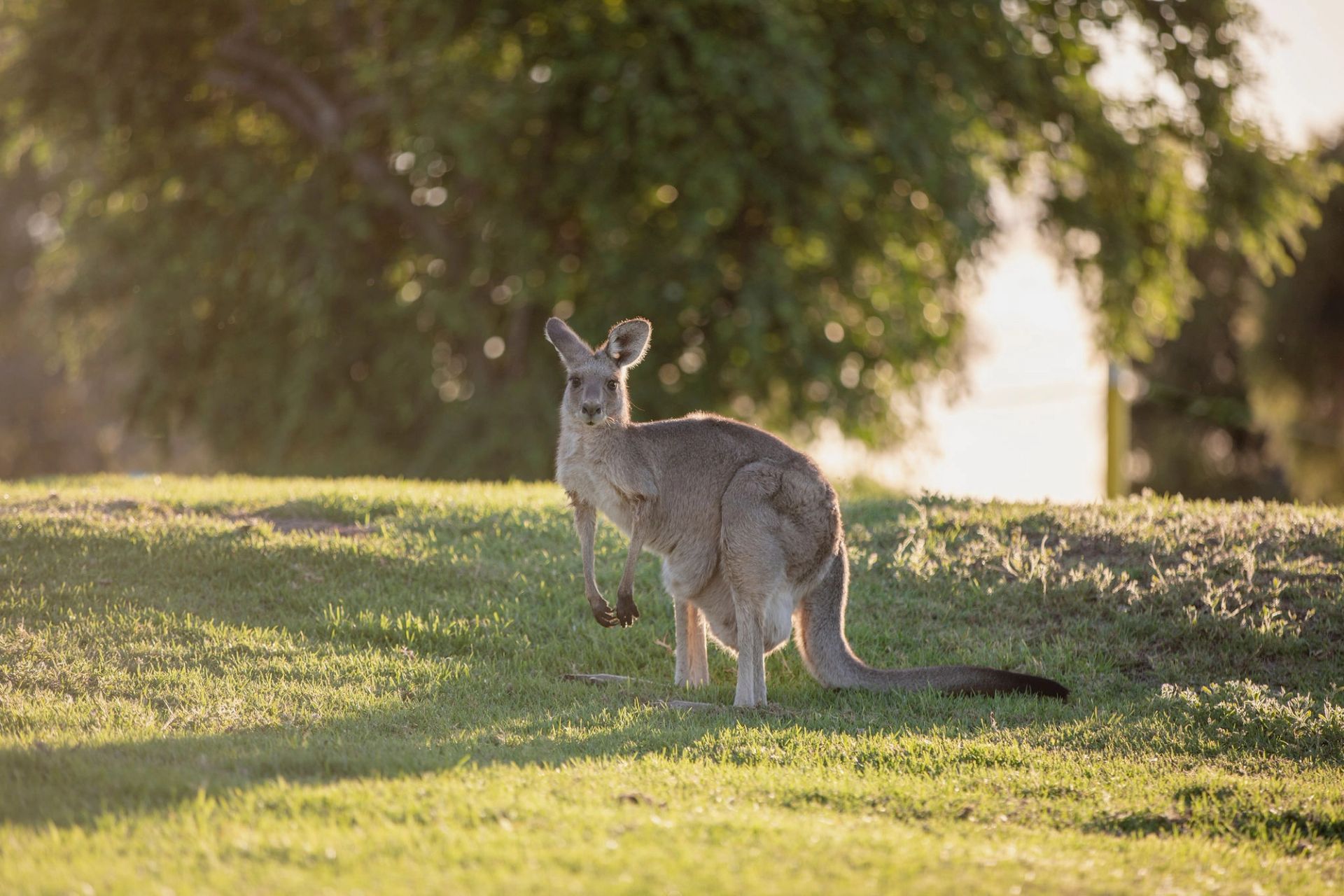 Standard Powered Site | Lake Burrendong Holiday Park | Reflections ...