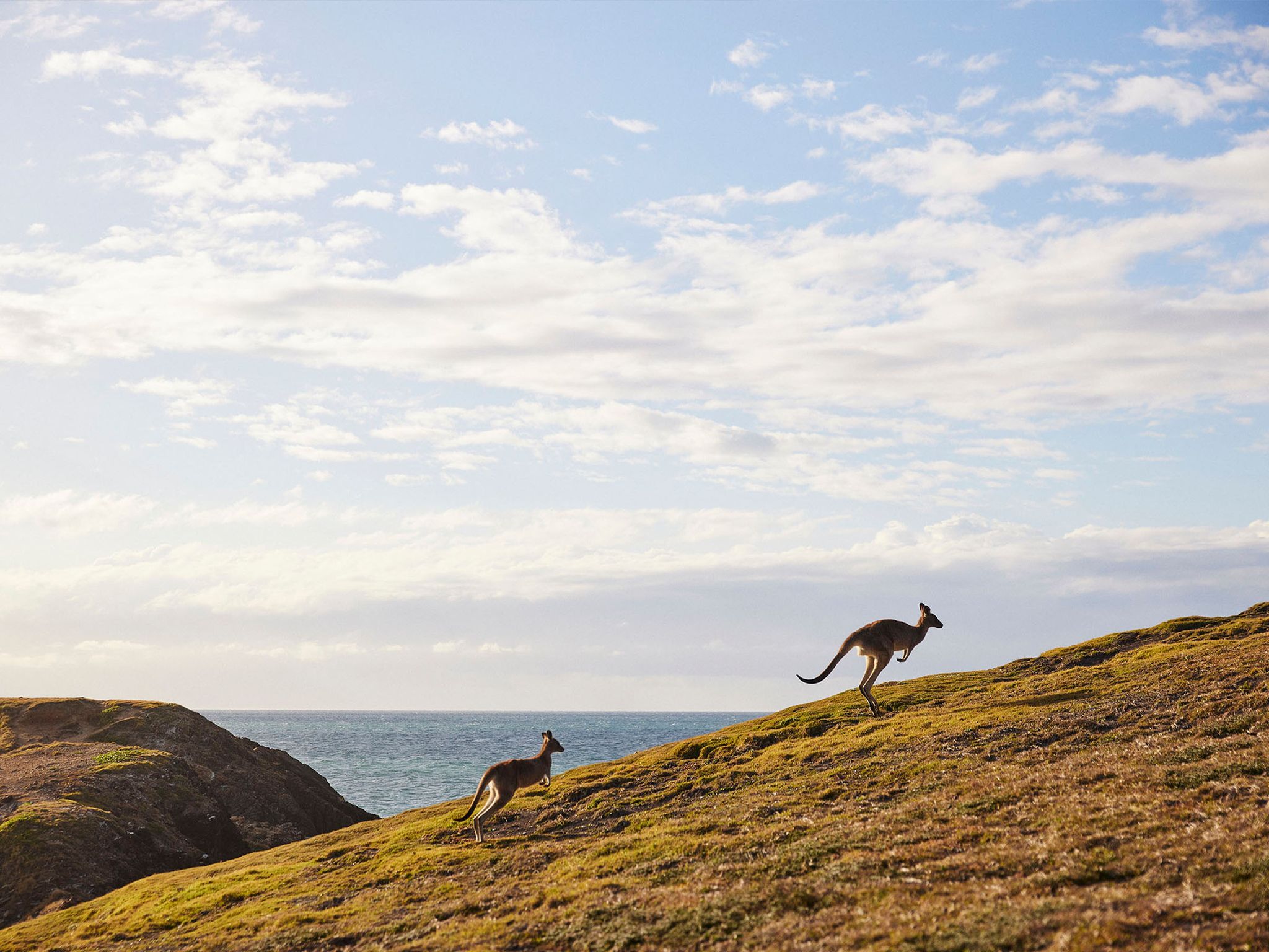 Park map | Moonee Beach Holiday & Caravan Park | Reflections Holidays