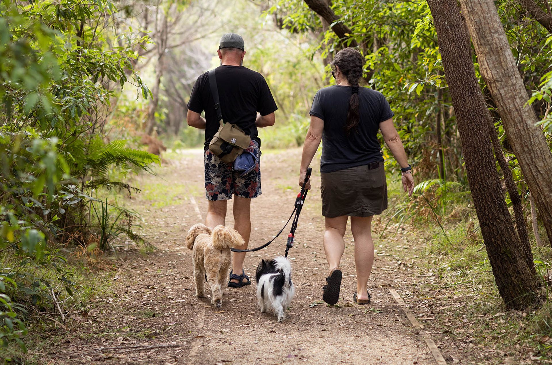 Find Things to do in Nambucca Heads | Reflections Holidays