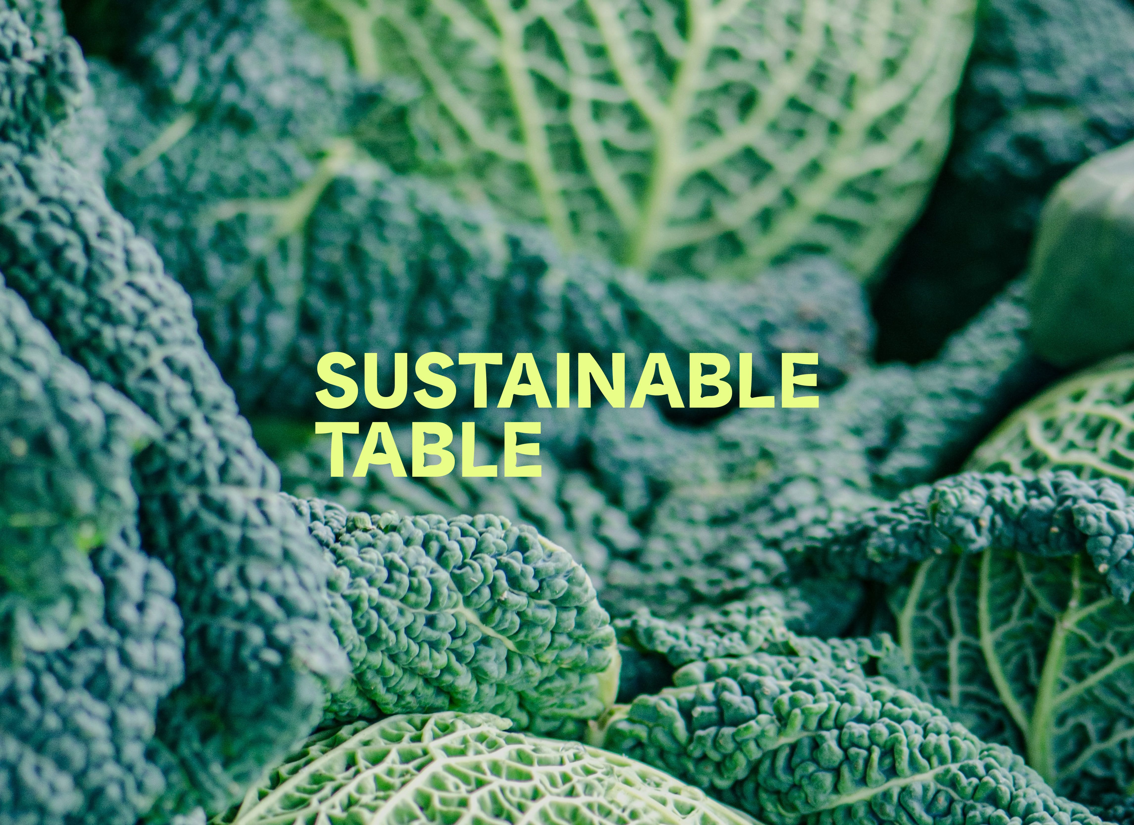 Sustainable Table | A Friend of Mine