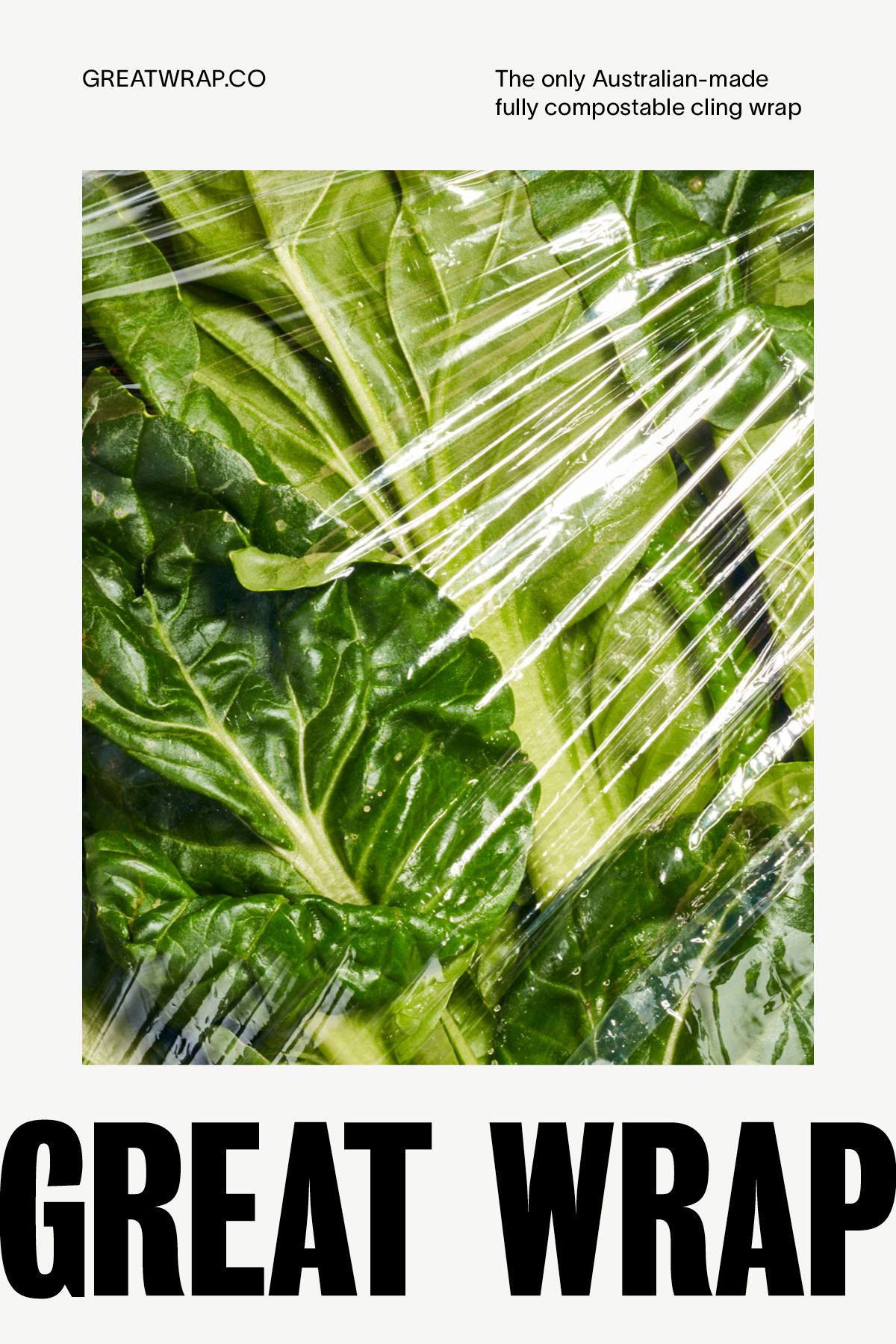 Great Wrap | A Friend of Mine