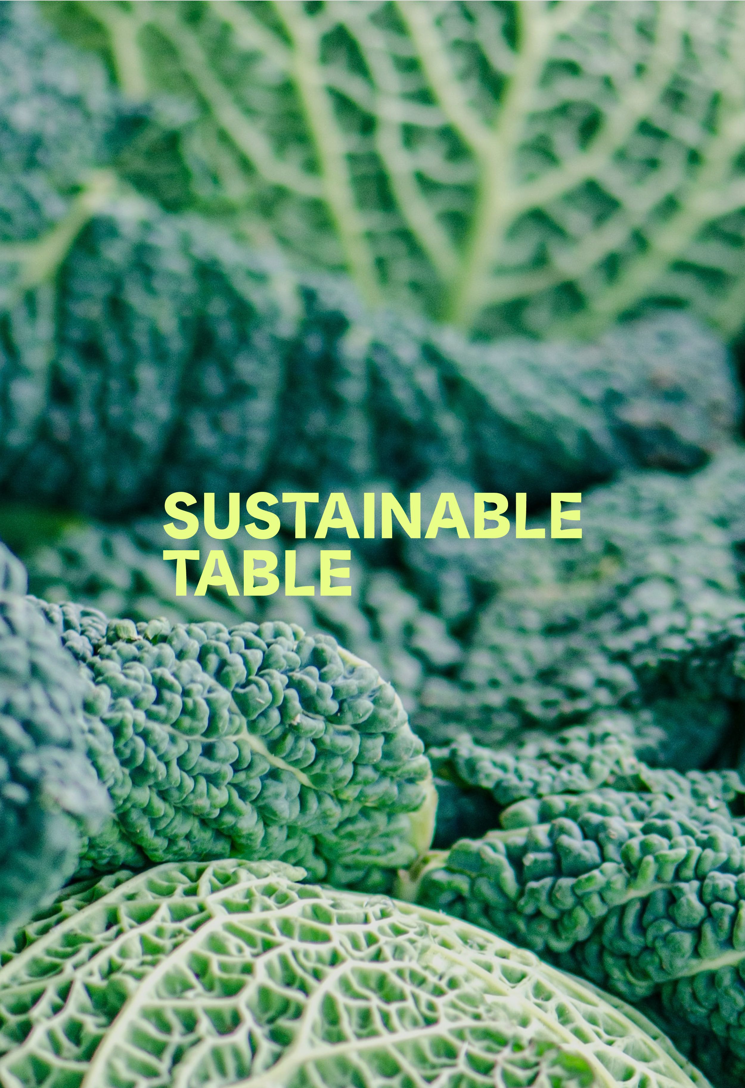 Sustainable Table | A Friend of Mine