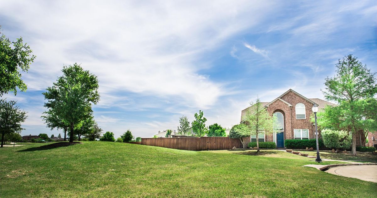Lawn Care in Fresno, CA | 6,000+ 5-Star Reviews | Sunday Lawn Care