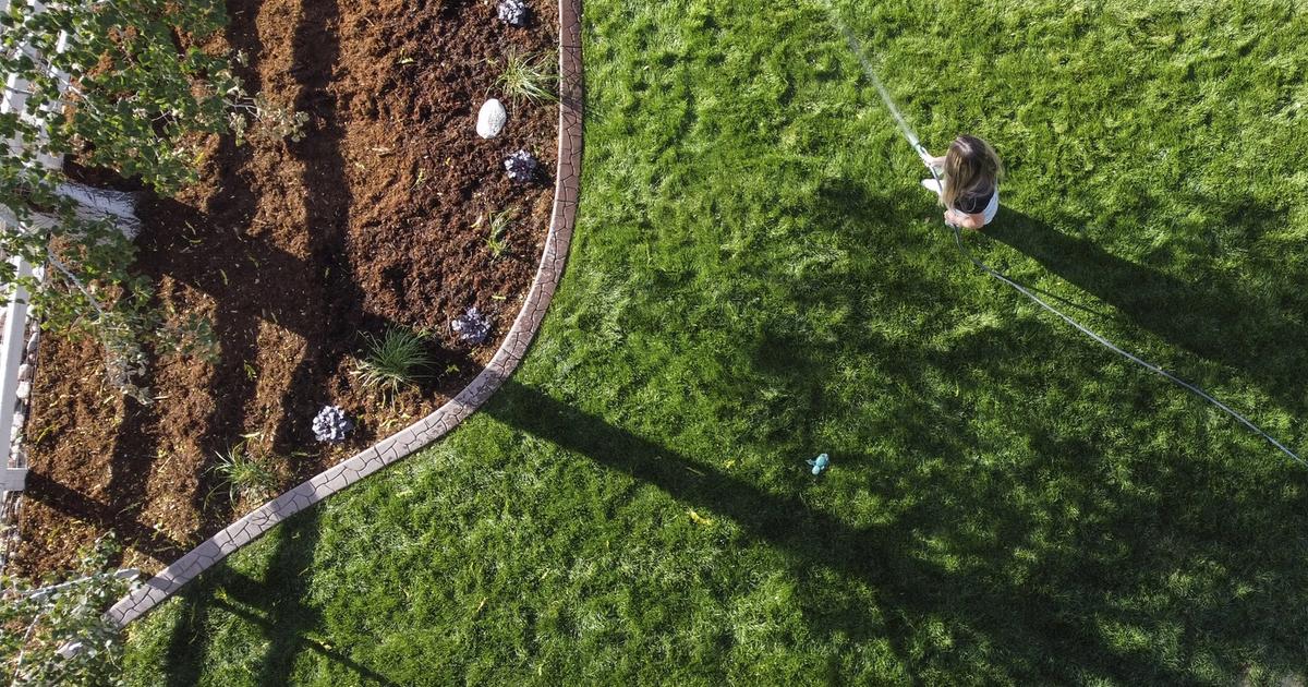 Sunday Quickstart Guide: DIY Lawn Care Made Simple | Sunday Lawn Care