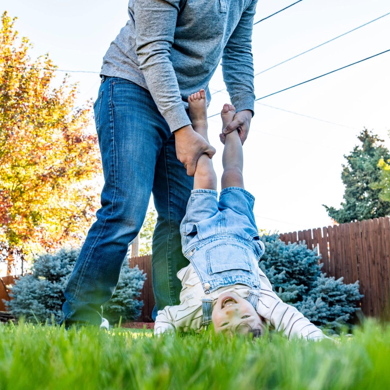 Drought Defense Lawn Treatment | Sunday Lawn Care