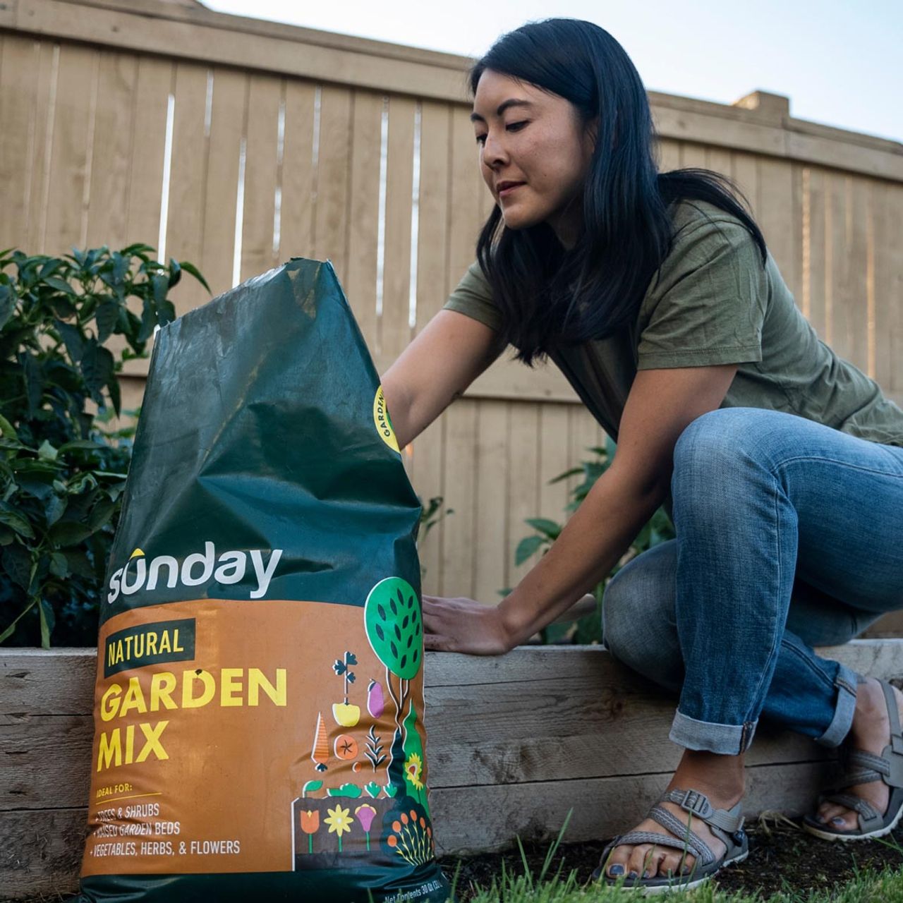 Start Your Lawn from Scratch Kit | Sunday Lawn Care