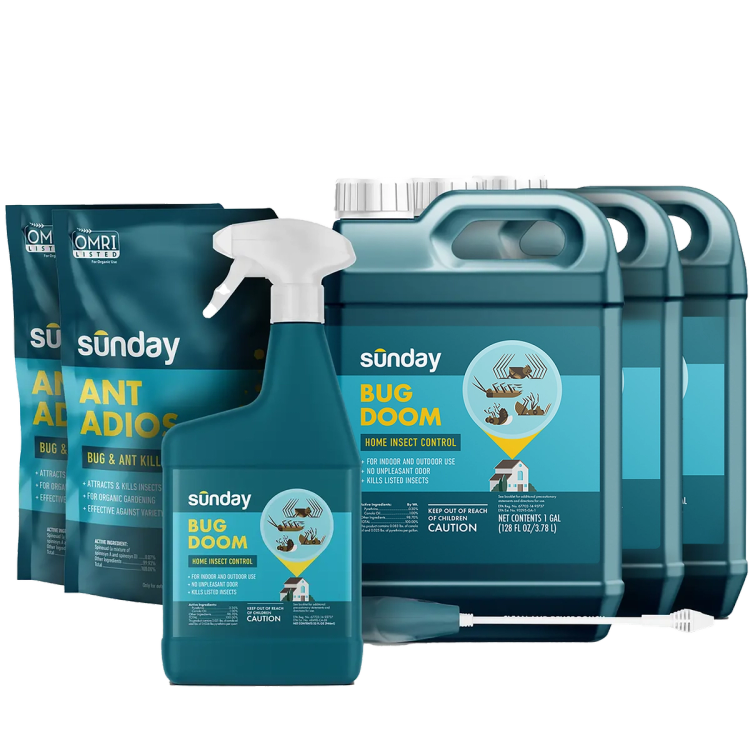 Large Total Home Pest Protection Subscription Plan | Sunday Lawn Care