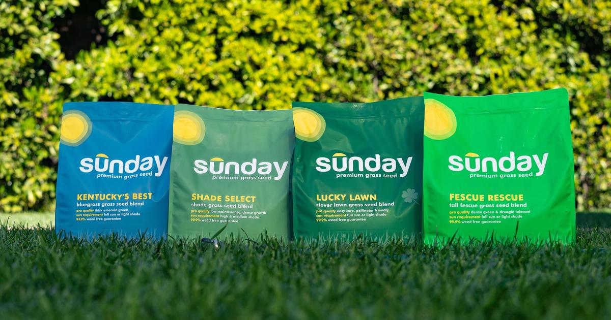 Sunday Grass Seed | Sunday Lawn Care