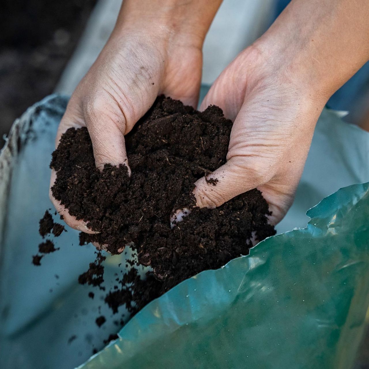 Start Your Lawn from Scratch Kit | Sunday Lawn Care