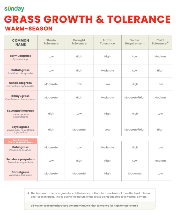 Warm-season Grass vs. Cool-season Grass: Choose the Right Grass for ...