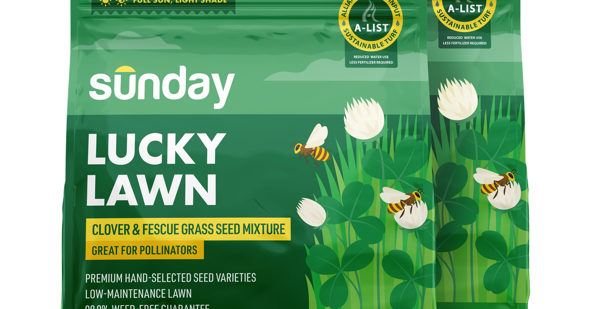 Lucky Lawn Grass Seed (2-pack) | Sunday Lawn Care