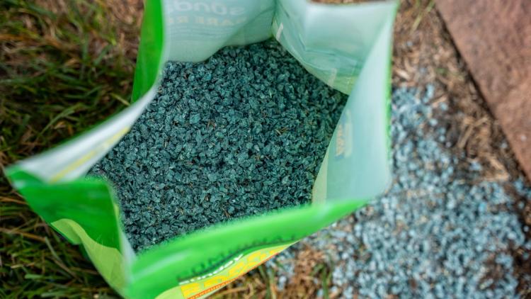 Bare Repair Common Bermudagrass | Lawn Patch Kit | 3-in-1 Repair ...