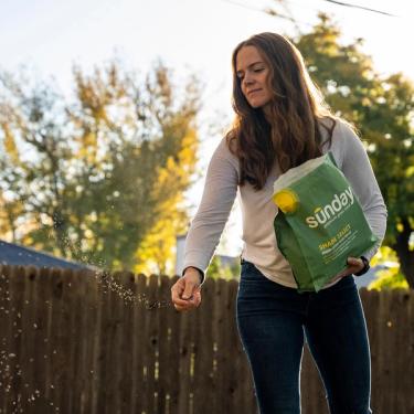 A Homeowner's Guide to Fall Grass Seeding | Sunday Lawn Care
