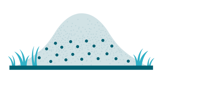 Sunday Ant Adios Instructions | Sunday Lawn Care