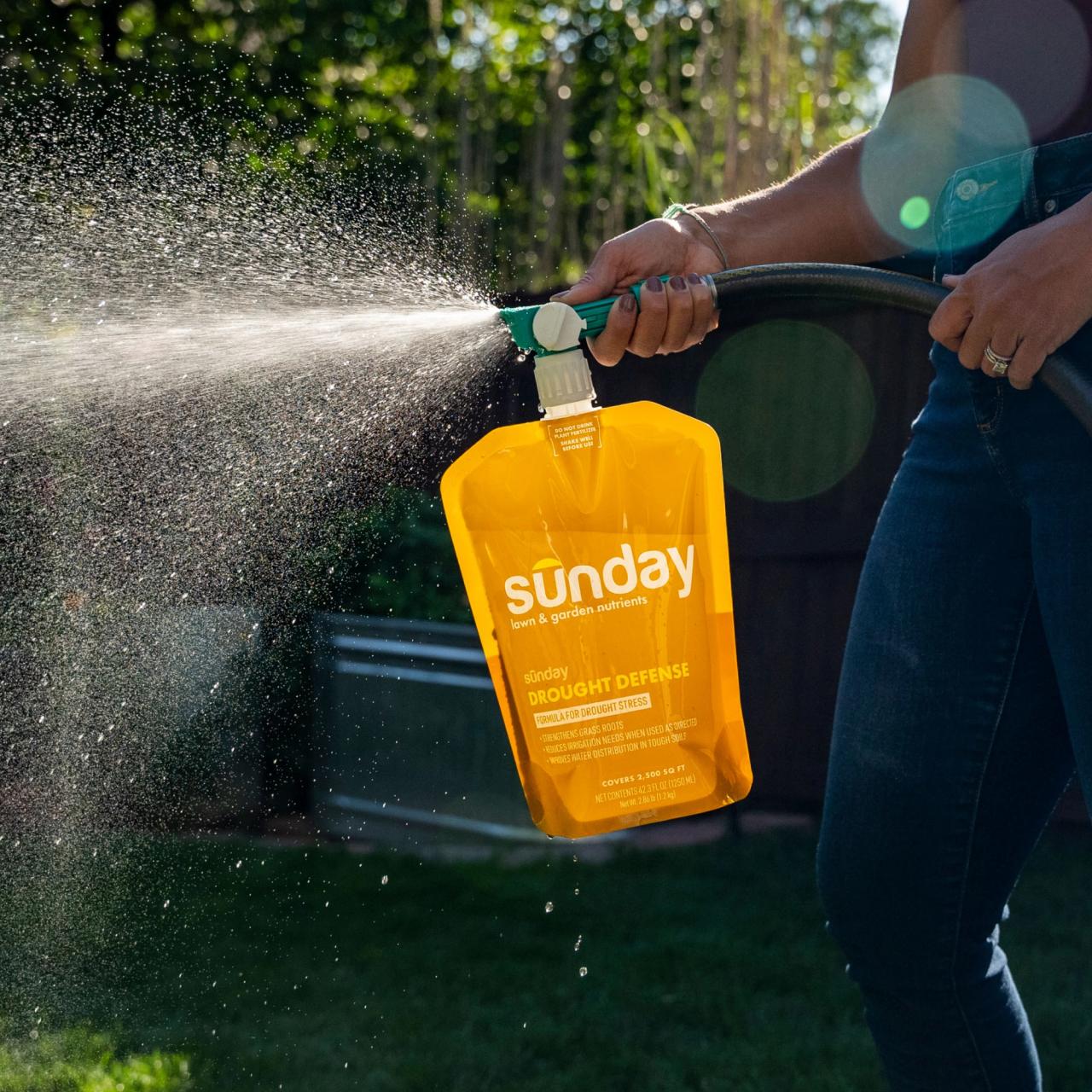 Drought Defense Lawn Treatment | Sunday Lawn Care