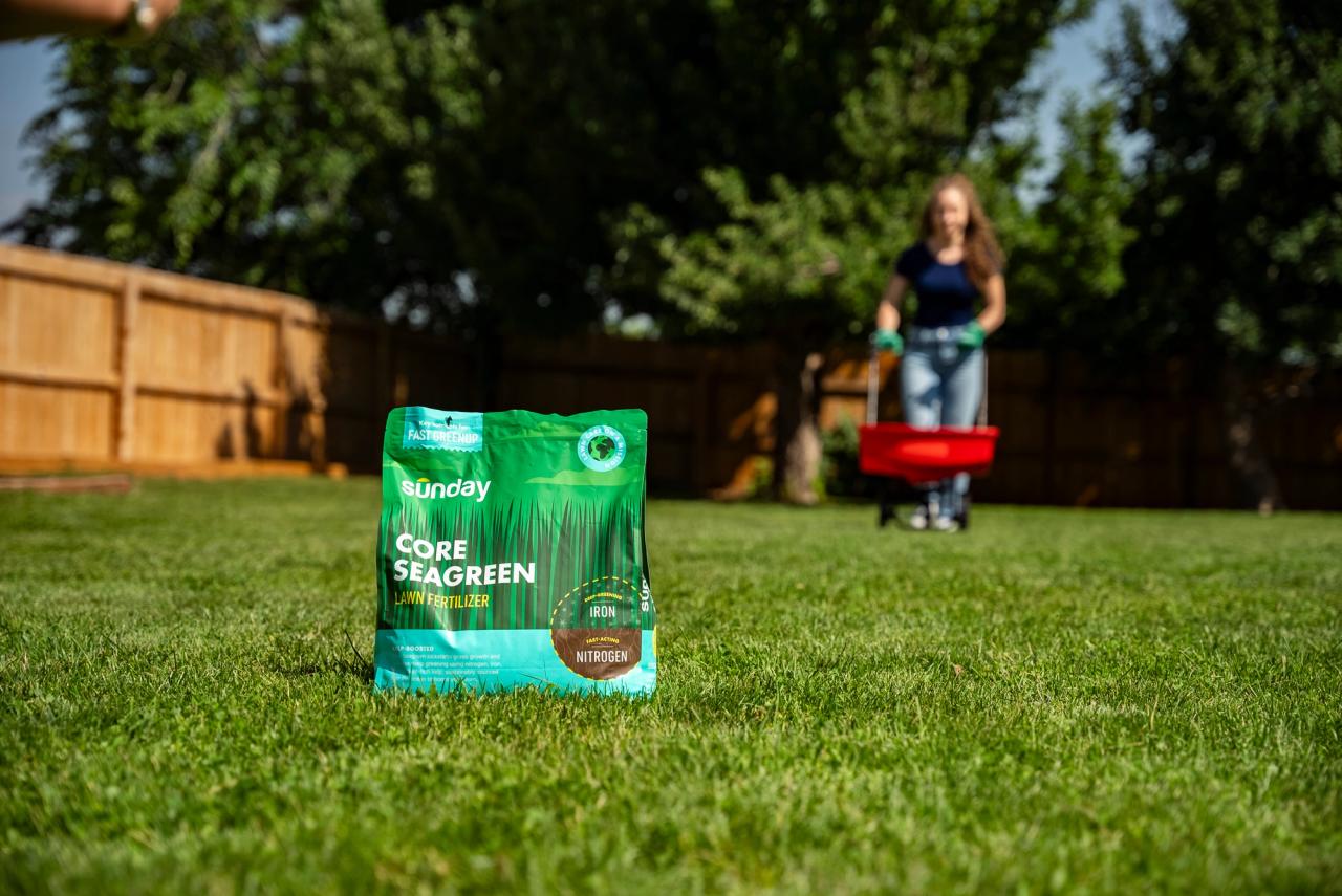 Fall Granular Fertilizer Lawn Kit | Sunday Lawn Care